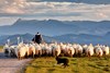 The Ultimate European Tasting Tour—in Cruise Form | Travelzoo