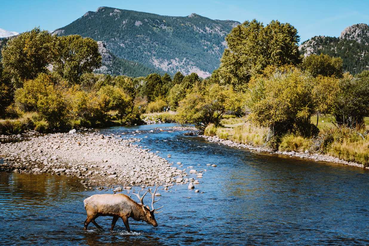 Estes Park Trails How To See The Best Views In Estes Park Alpine