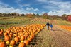 Why You'll Fall For Prince Edward County | Travelzoo
