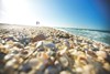 Summer Vacation in Fort Myers & Sanibel? Shell Yes! | Travelzoo