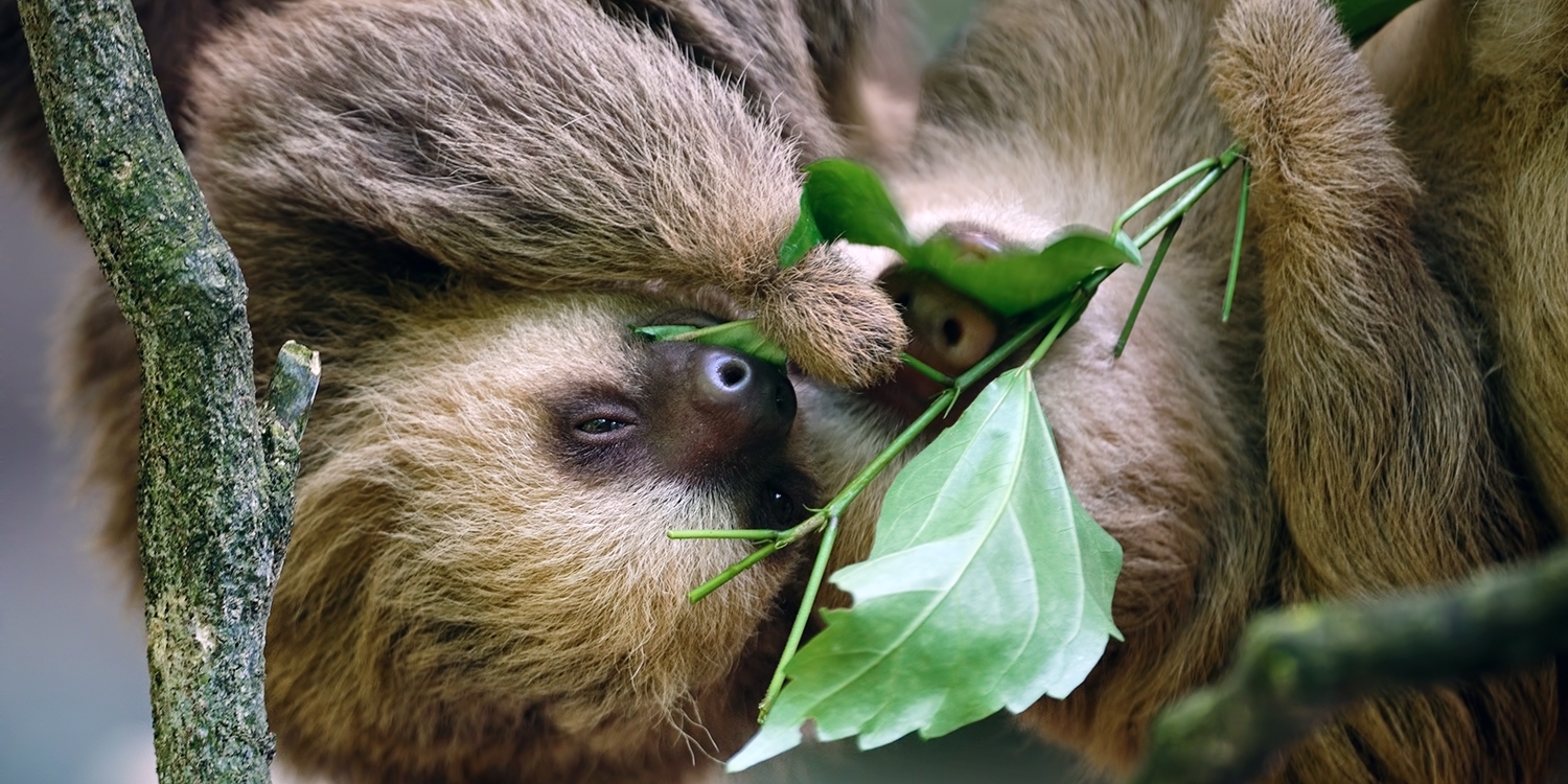 Travelzoo: Deals on Hotels, Flights, Vacations, Cruises & More