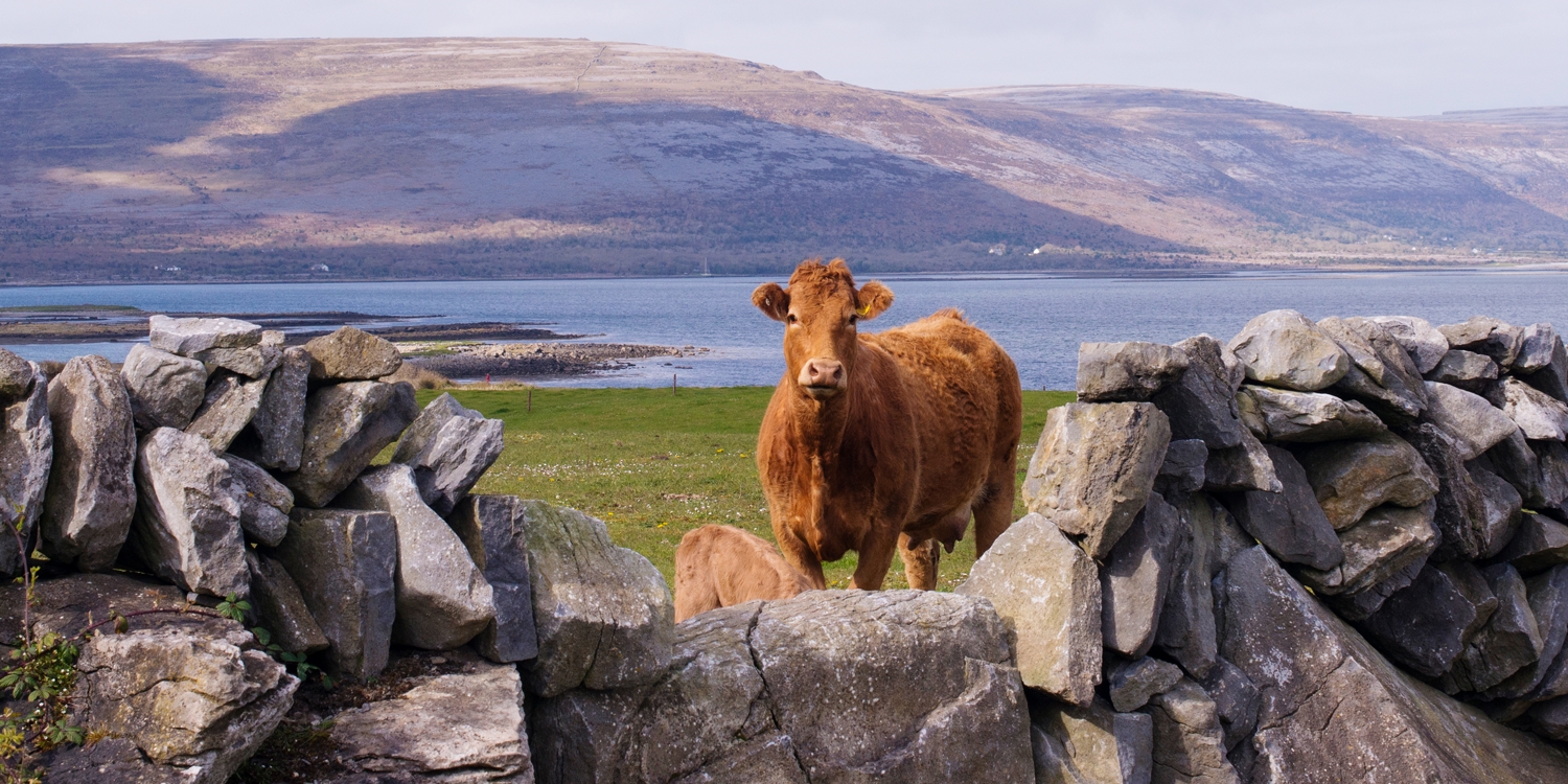 Irland | Wild Atlantic Way | Travelzoo | Travelzoo