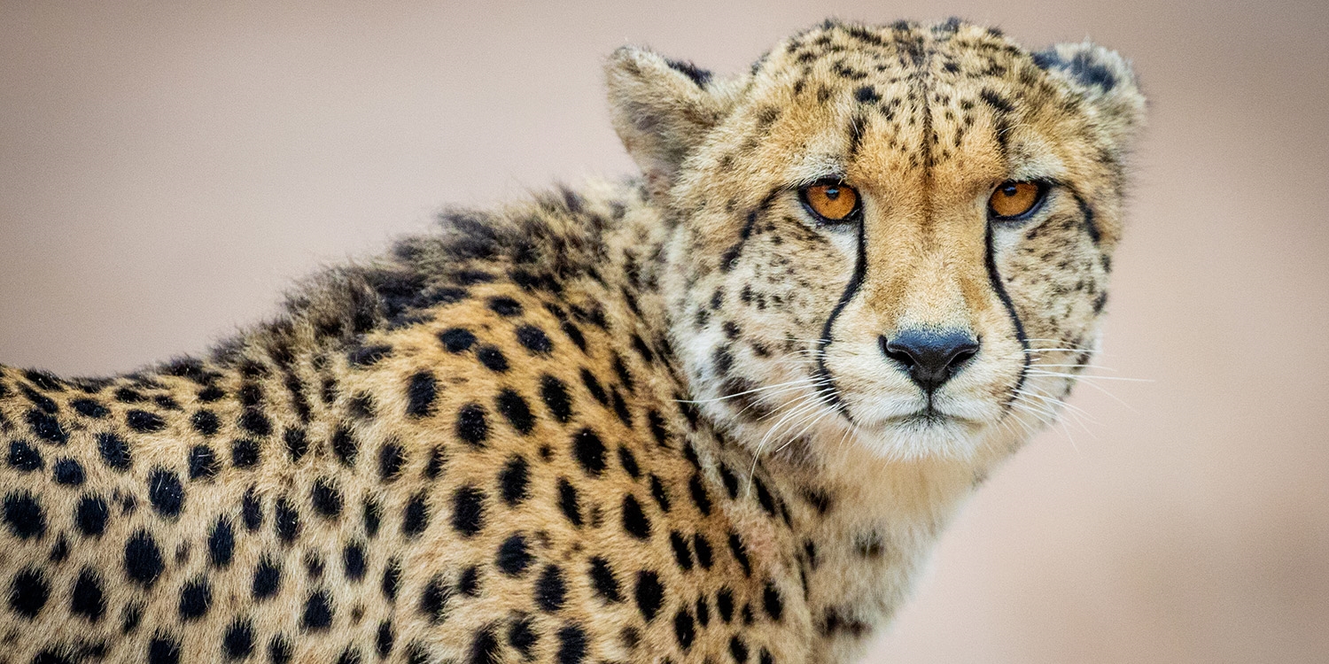 SOUTH AFRICA | Featured Destination | Travelzoo | Travelzoo