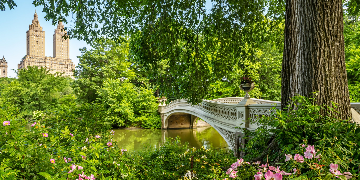 Travelzoo: Deals on Hotels, Flights, Vacations, Cruises & More