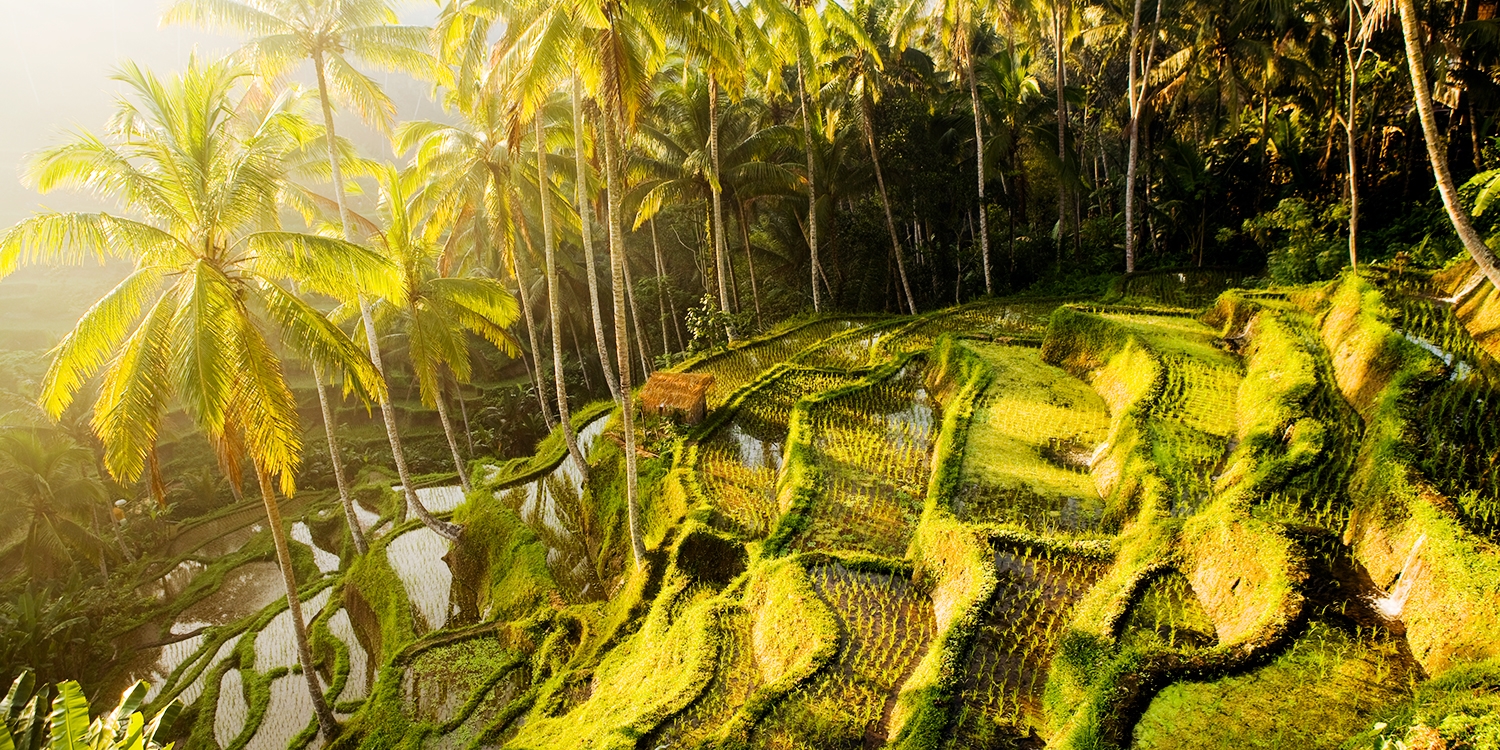 Travelzoo: Deals on Hotels, Flights, Vacations, Cruises & More